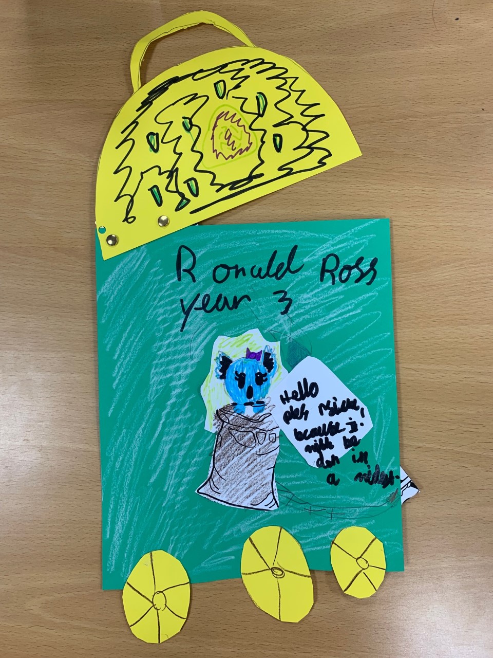 Ronald Ross Primary School The Action Pack